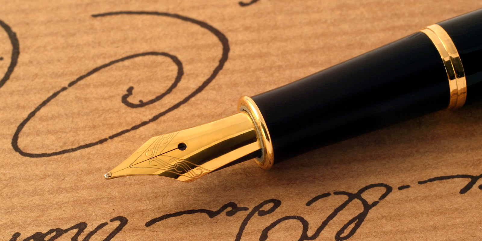 Guestbook - Cassandra King